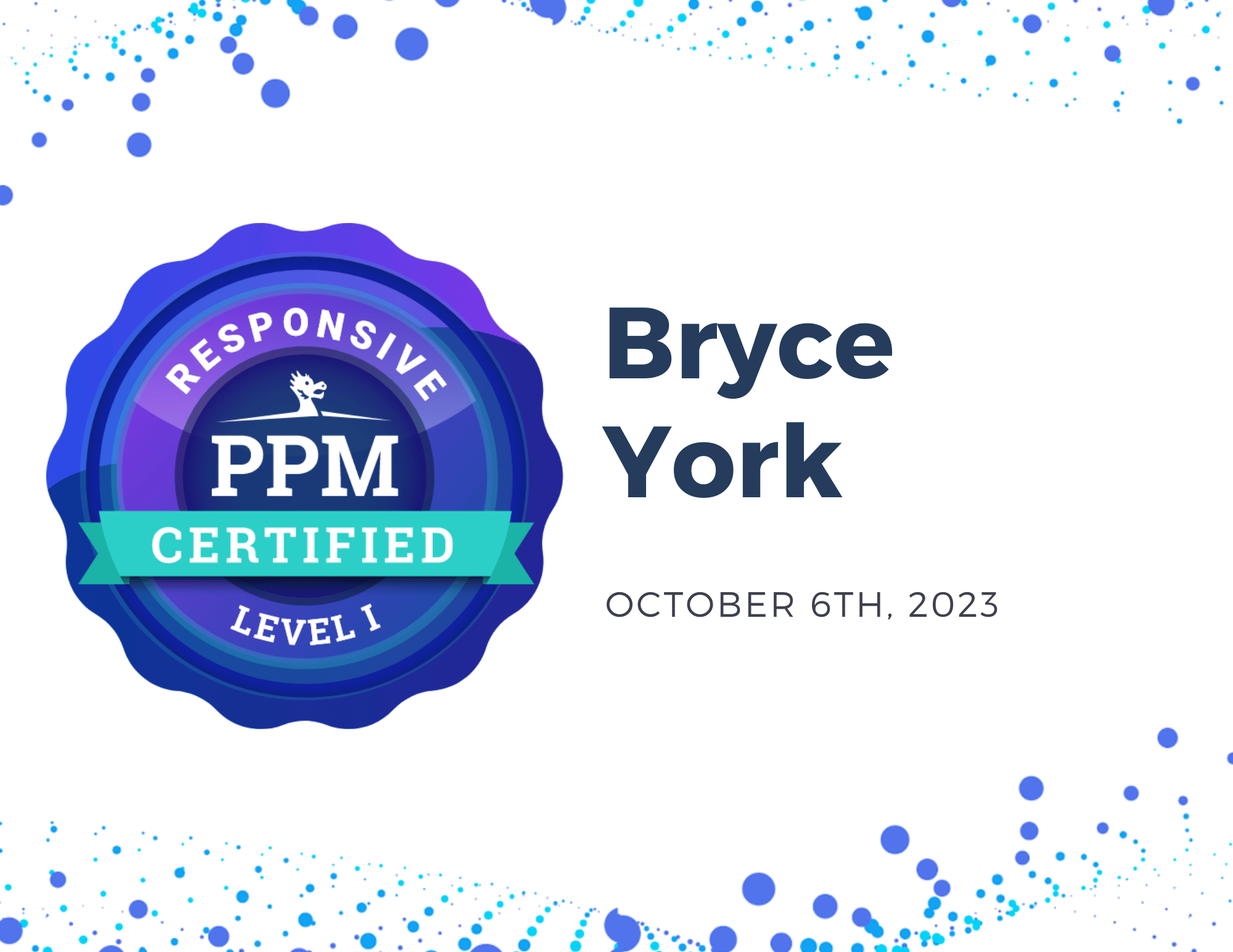 Bryce York Certification - Responsive Product Portfolio Management